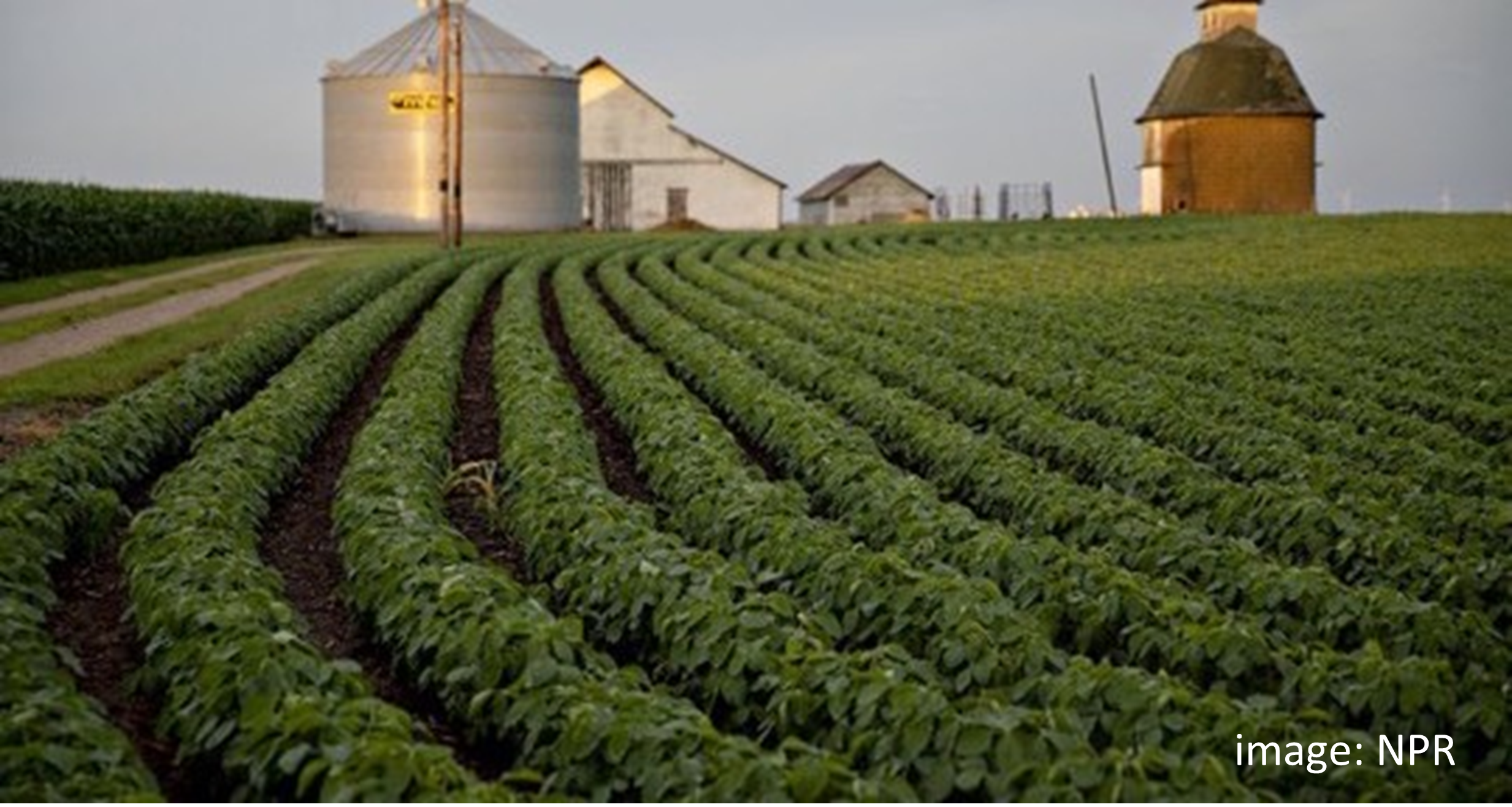 Cries for Mercy – Concord Cares